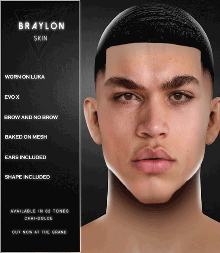 Second Life Marketplace - V. Braylon (Dolce)