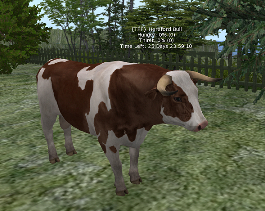 Second Life Marketplace - TFF Hereford Bull The Funny Farm Real Item