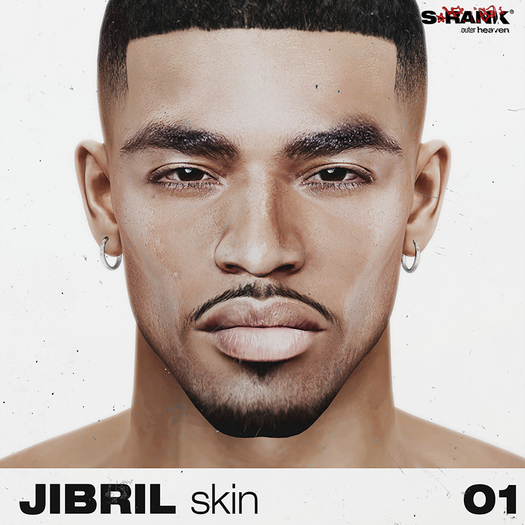 Second Life Marketplace - S-RANK "JIBRIL" SKIN / TONE 01