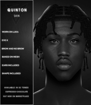 Second Life Marketplace - V. Quinton (Demo)