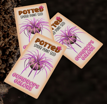 Second Life Marketplace - Potted: Spider Plant Seed: Gumdrops Galore