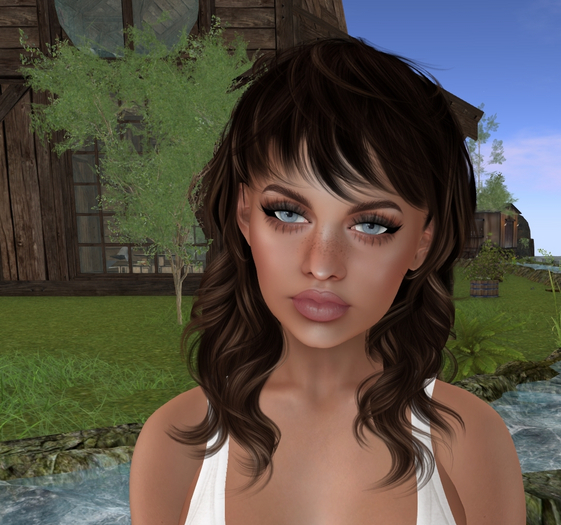 Second Life Marketplace Grace Head Shape Genus Strong Face