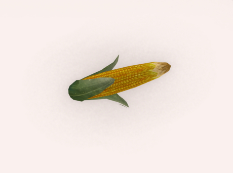 Second Life Marketplace - MyStory Corn X 50