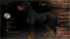 Second Life Marketplace - :AppyBottoms: TeeglePet DOG - Negan Pelt