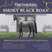 Second Life Marketplace - { AETHERIEL } Super Sheen: Smoky Black Roan ...