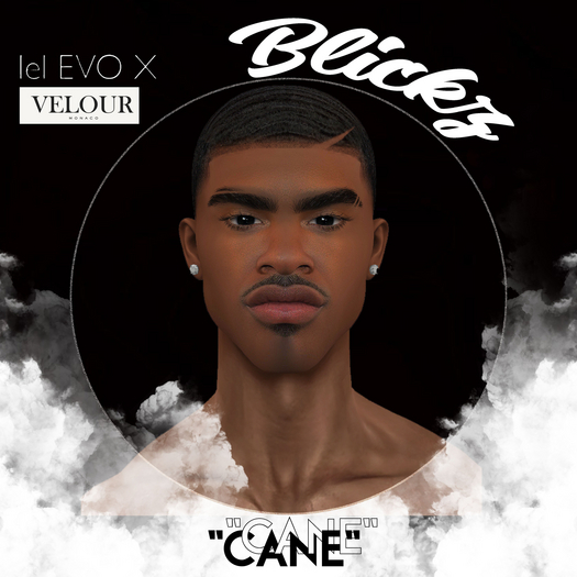Second Life Marketplace - B.// CANE SKIN