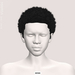 Second Life Marketplace - Unorthodox Mamba Hair (Unit Only) [unpk]