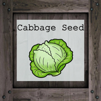 Second Life Marketplace - [SF] DFS Cabbage Seed x 5