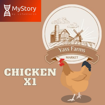Second Life Marketplace - MyStory Chicken x1 - Yass Farms