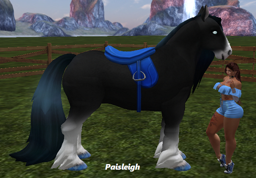 Second Life Marketplace - Amaretto Breedable Black Classic Clydesdale
