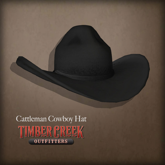 Second Life Marketplace - [Timber Creek] The Cattleman Cowboy Hat~Dusty ...