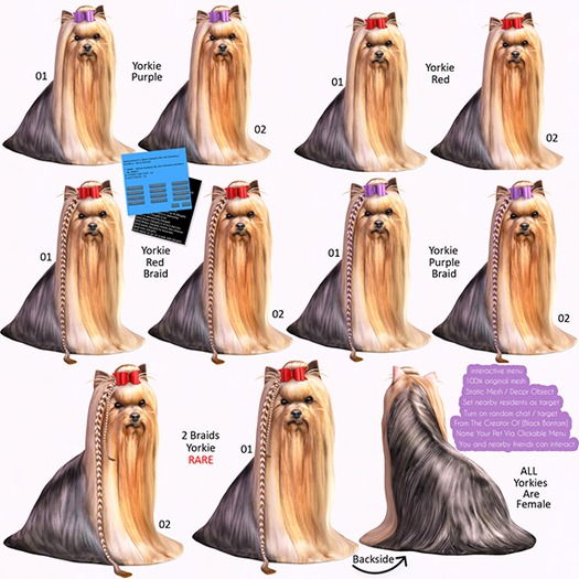Second Life Marketplace - [Black Bantam] Best in Show Yorkie 2 Braids ...