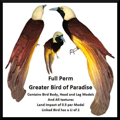 Second Life Marketplace - Full Perm Greater Bird of Paradise