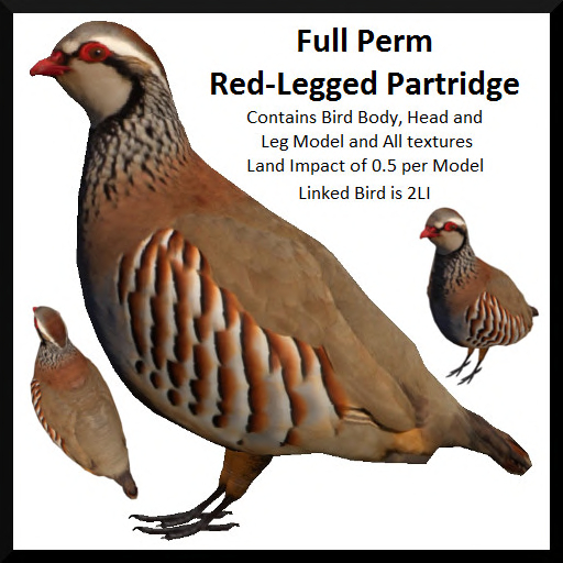Second Life Marketplace - Full Perm Red-Legged Partridge