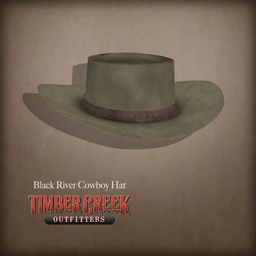 Second Life Marketplace - [Timber Creek] Black River Cowboy Hat-Dust