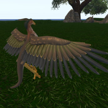 Second Life Marketplace - MMnM Mortuary Bird Avatar