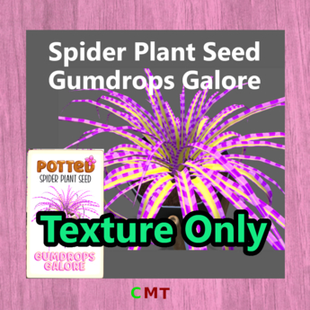 Second Life Marketplace - Potted: Spider Plant Seed: Gumdrops Galore ...
