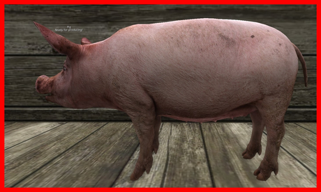 Second Life Marketplace - MyStory Pig (v1.5) (Boxed)