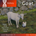 Second Life Marketplace - MyStory Goat