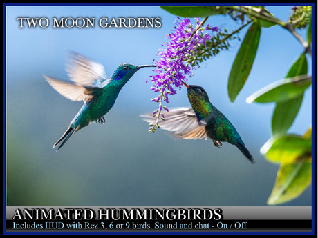 Second Life Marketplace - Birds [hb]
