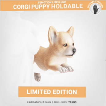 Second Life Marketplace - SEmotion Libellune Corgi Puppy Holdable LIMITED