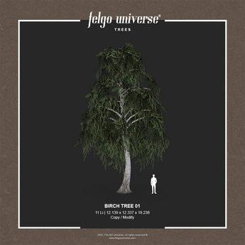 Second Life Marketplace - FELGO Universe // Trees - Birch 01