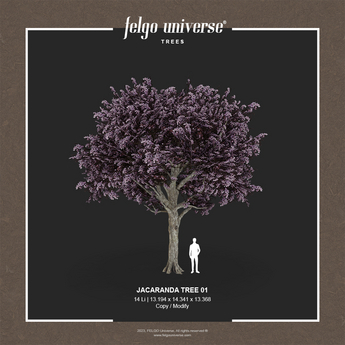 Second Life Marketplace - FELGO Universe // Trees - Jacaranda 01