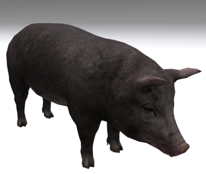 Second Life Marketplace - Pig - 1 ~FullPerm~