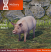 Second Life Marketplace - MyStory Pig (Kids v1.5)