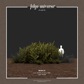 Second Life Marketplace - FELGO Universe // Plants - Bush 01