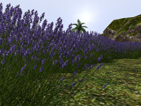 Second Life Marketplace - :: CS :: Lavender for field