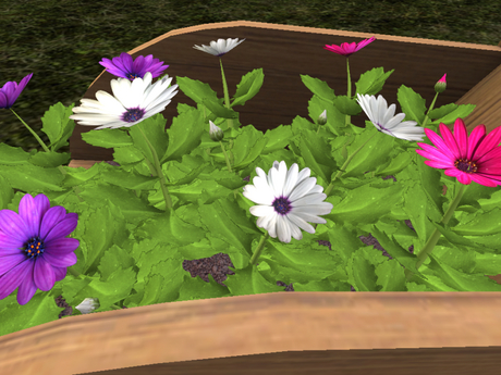 Second Life Marketplace - Kay's .: Daisy Barrow