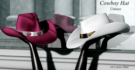 Second Life Marketplace - [LS] COWBOY HAT DEMO