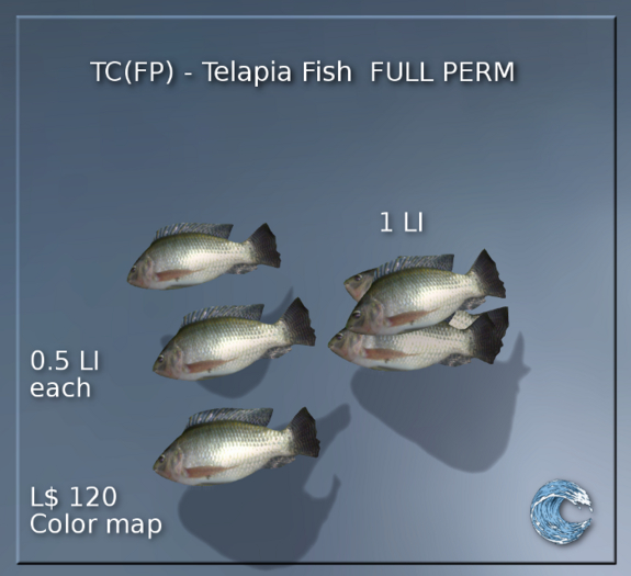 Second Life Marketplace - TC(FP) - Tilapia Fish FULL PERM