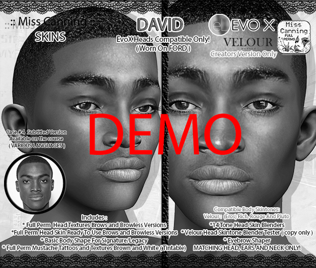 Second Life Marketplace - *:: Miss Canning :: SKINS [ DAVID ] Lelutka ...