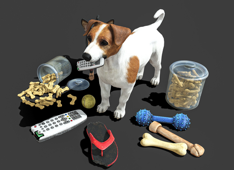 Second Life Marketplace - Art Studio.FULL PERM \\ Dog Accessorie Packs#2
