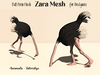 Second Life Marketplace - ZM - Animals - Ostridge FULL PERMS