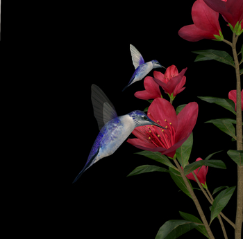 Second Life Marketplace - Hummingbird_Blue&White Copy - Version ...