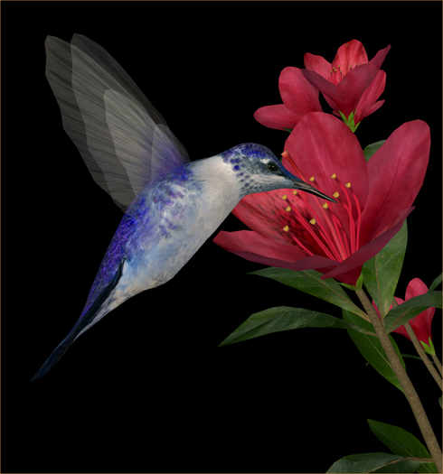 Second Life Marketplace - Hummingbird_Blue&White Copy - Version ...