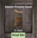 Second Life Marketplace - DFS SWEET POTATO SEED - ACTUAL ITEM