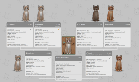 Second Life Marketplace - KittyCatS Fur: Genesis - Mocha II-Size ...