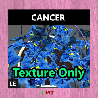 Second Life Marketplace - Potted: Ivy Plant: LE Cancer IMAGE PG