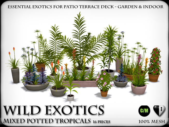 Second Life Marketplace - Mixed Tropicals - 16 Potted Tropicals