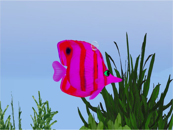 Second Life Marketplace - (7S) Common Fish: Pink Banded Fish
