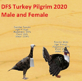 Second Life Marketplace - DFS Turkey Pilgrim 2020 Male and Female