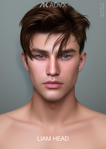 Second Life Marketplace - [AK ADVX] - Liam Head