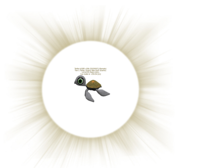 Second Life Marketplace - {Papillon} Turtle, Female, Pygmy, Effect