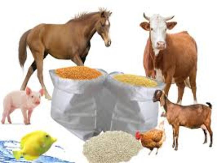 Second Life Marketplace - 250 Bulk Animal Fees [MyStory]