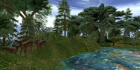 Second Life Marketplace - WILD FOREST Sim Surround (full sim surround)
