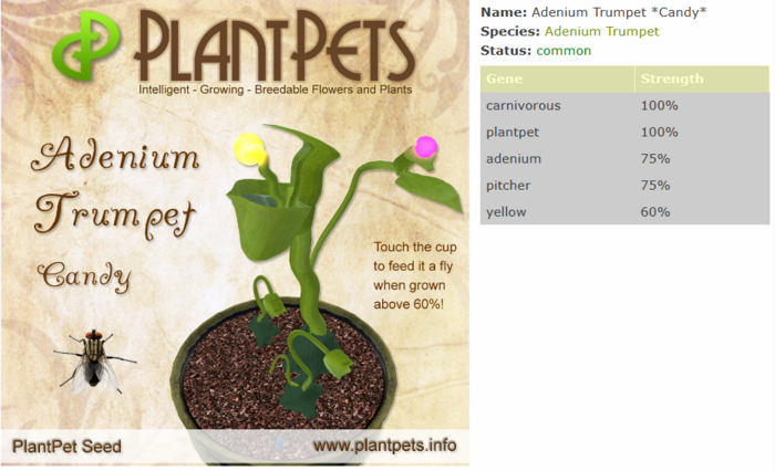 Second Life Marketplace - PlantPet Seed [Adenium Trumpet *Candy ...